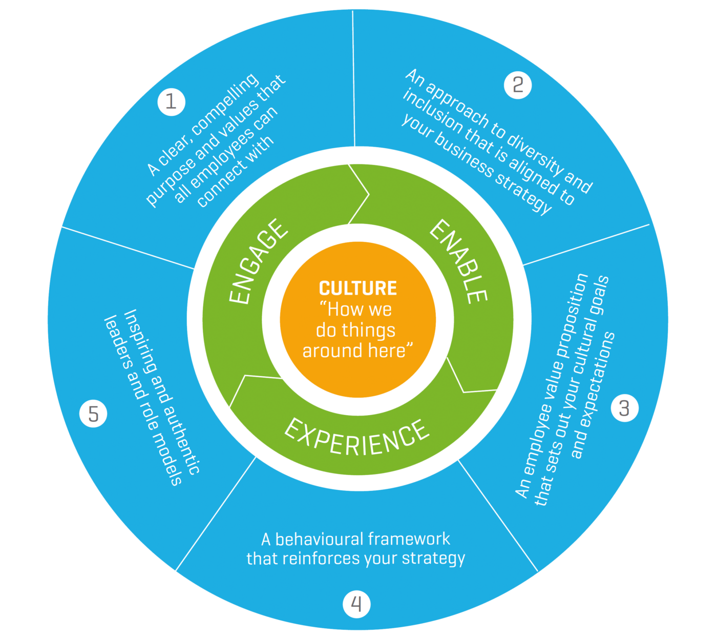 Fostering and promoting a diverse culture | Five key considerations ...