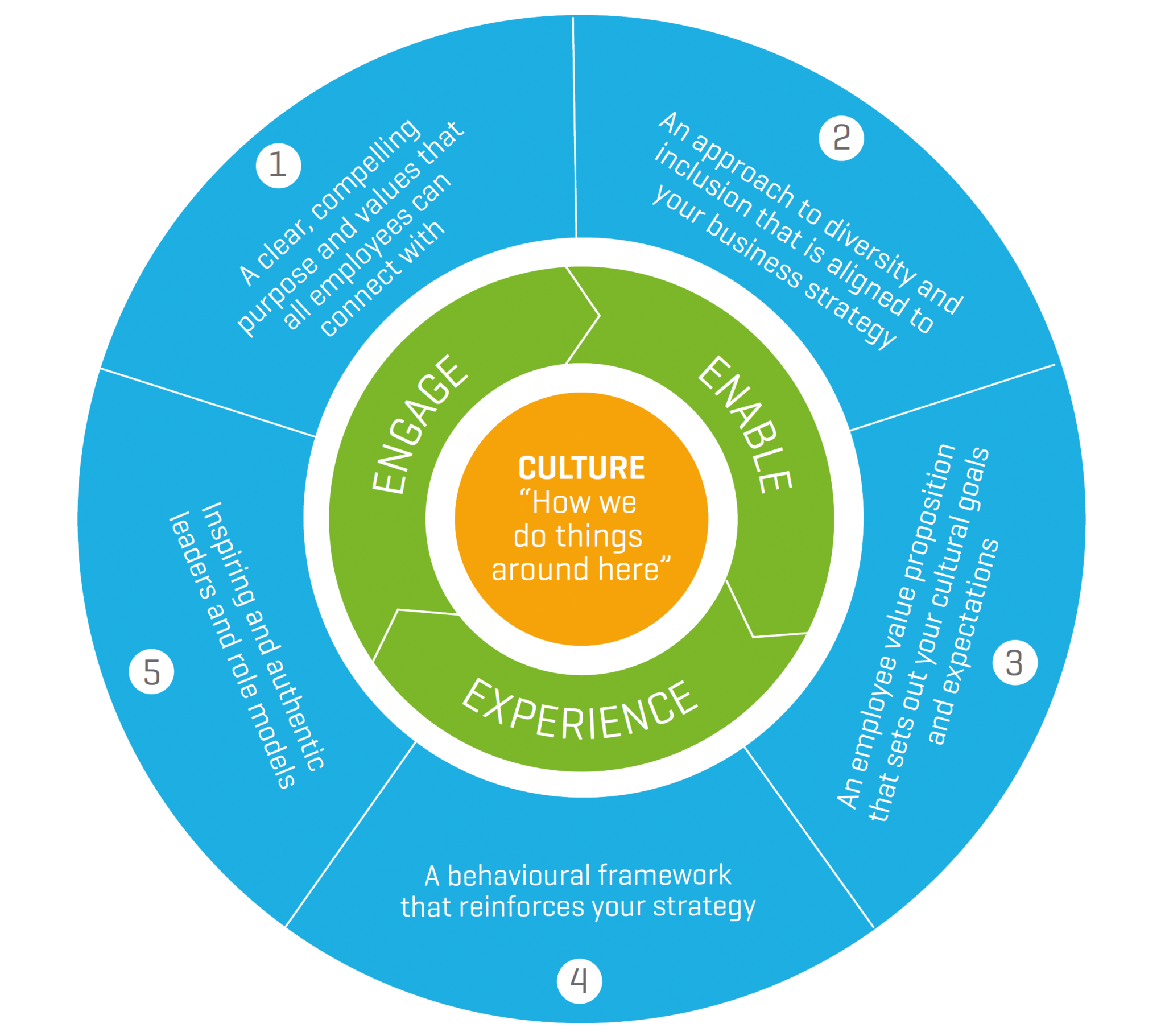 Fostering and promoting a diverse culture | Five key considerations ...